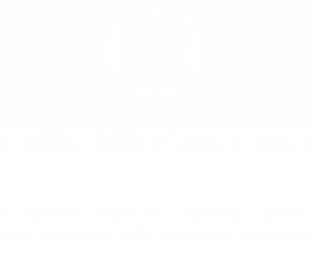 Accueil - Luce Studio