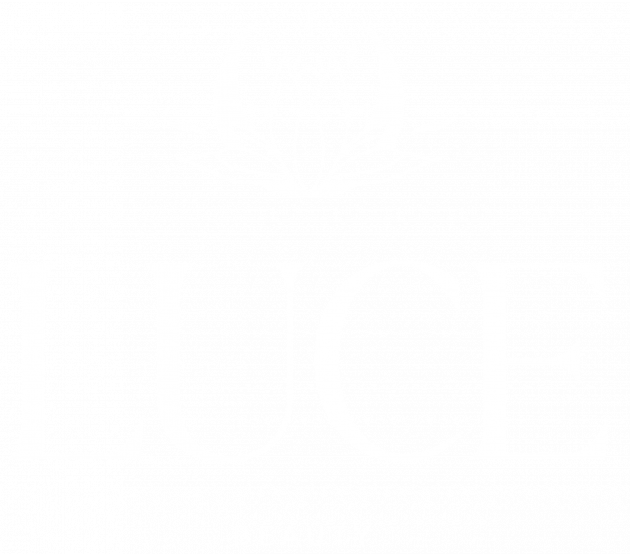 Accueil - Luce Studio